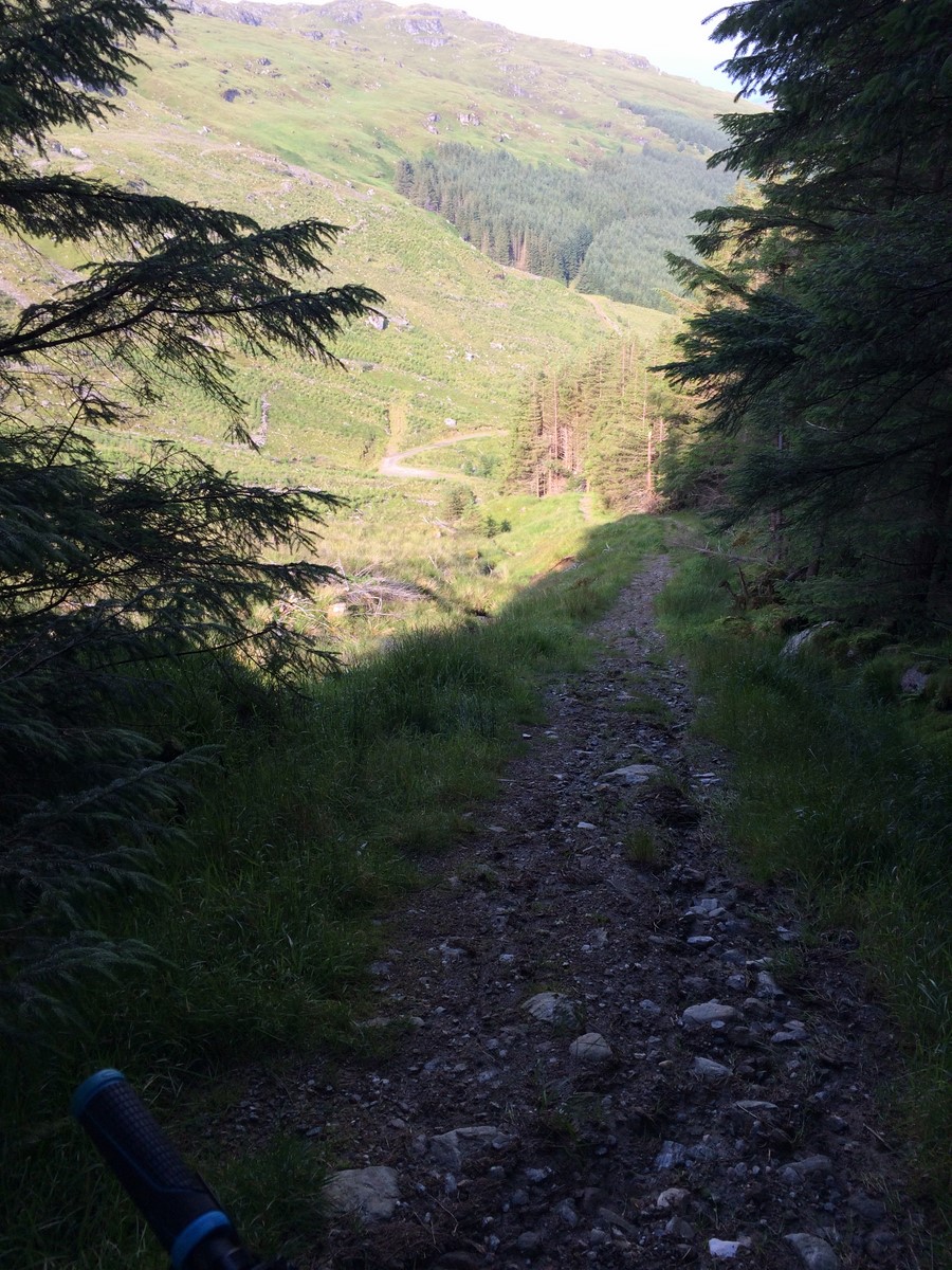 IMG_2878 (Copy) | Explore Cowal