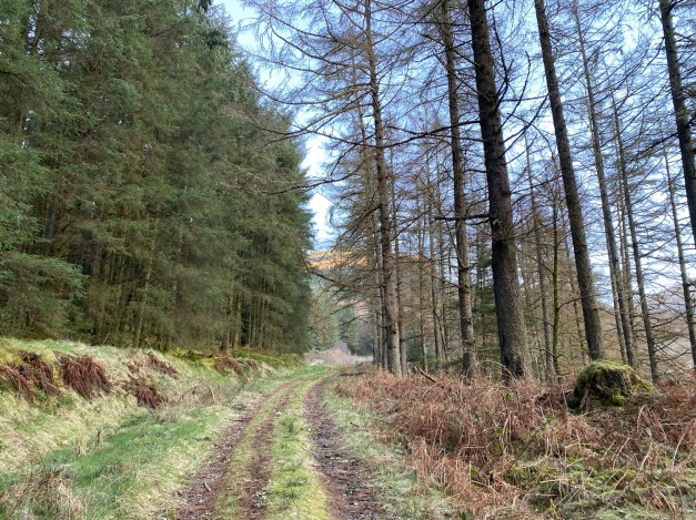 Explore Cowal | "Take nothing but pictures…leave nothing but footprints ...